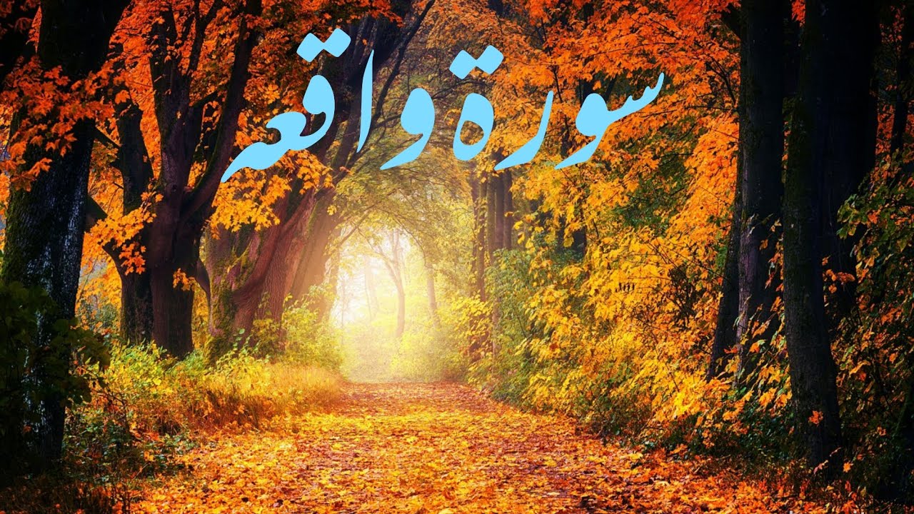 surah wakya #shortvedio #youtube #beautifulvedio - YouTube
