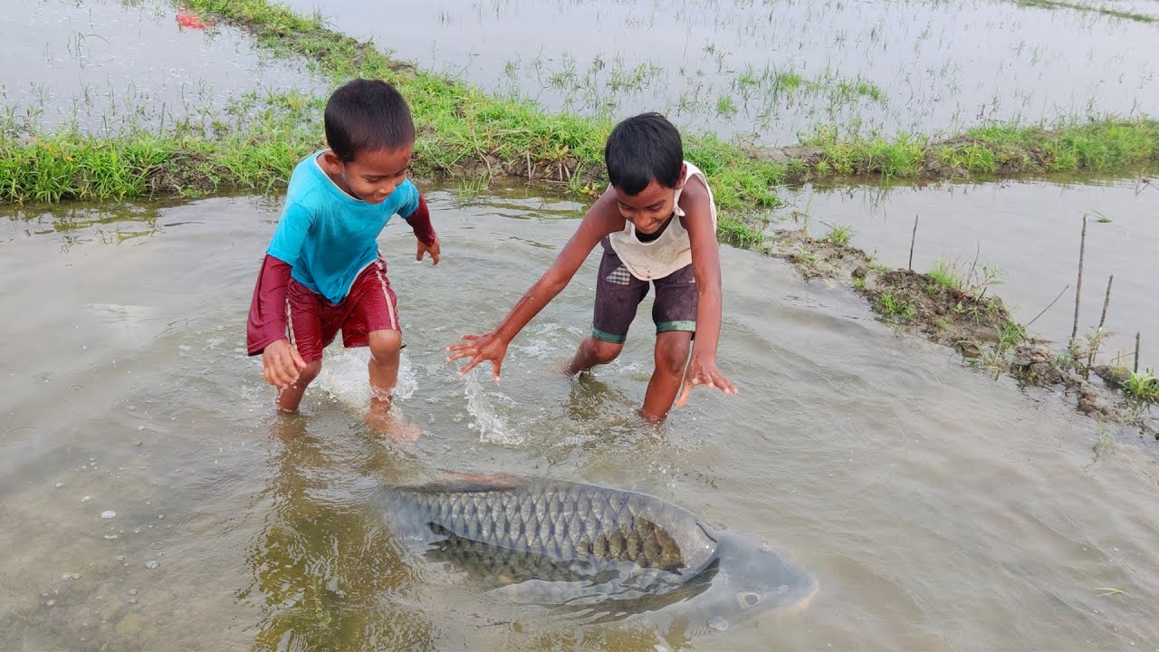 Amazing hand fishing video - Two small fish hunter catching fish by ...
