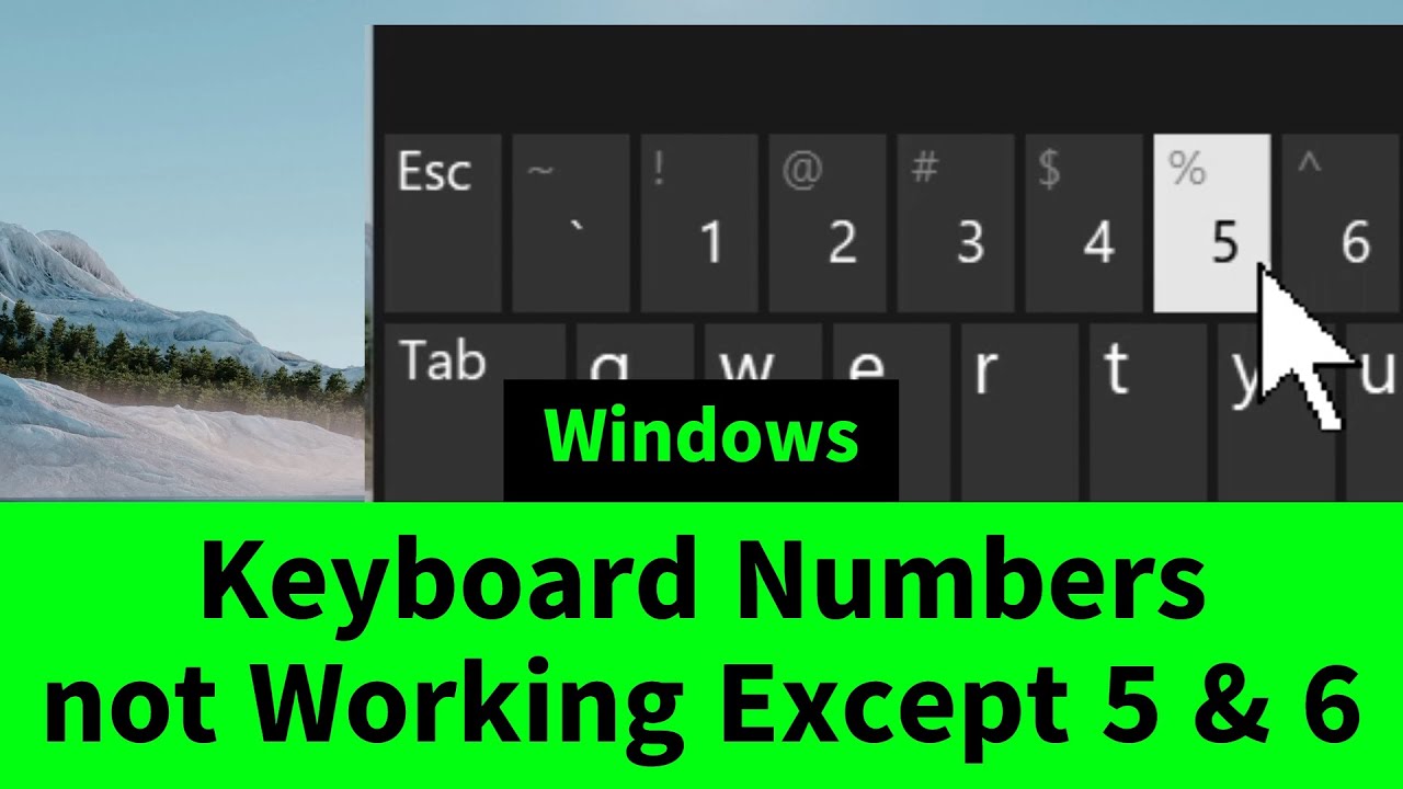Keyboard Numbers Row Not Working Except 5 & 6 {Six Possible Solutions ...