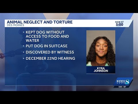 Des Moines woman charged with animal neglect, torture