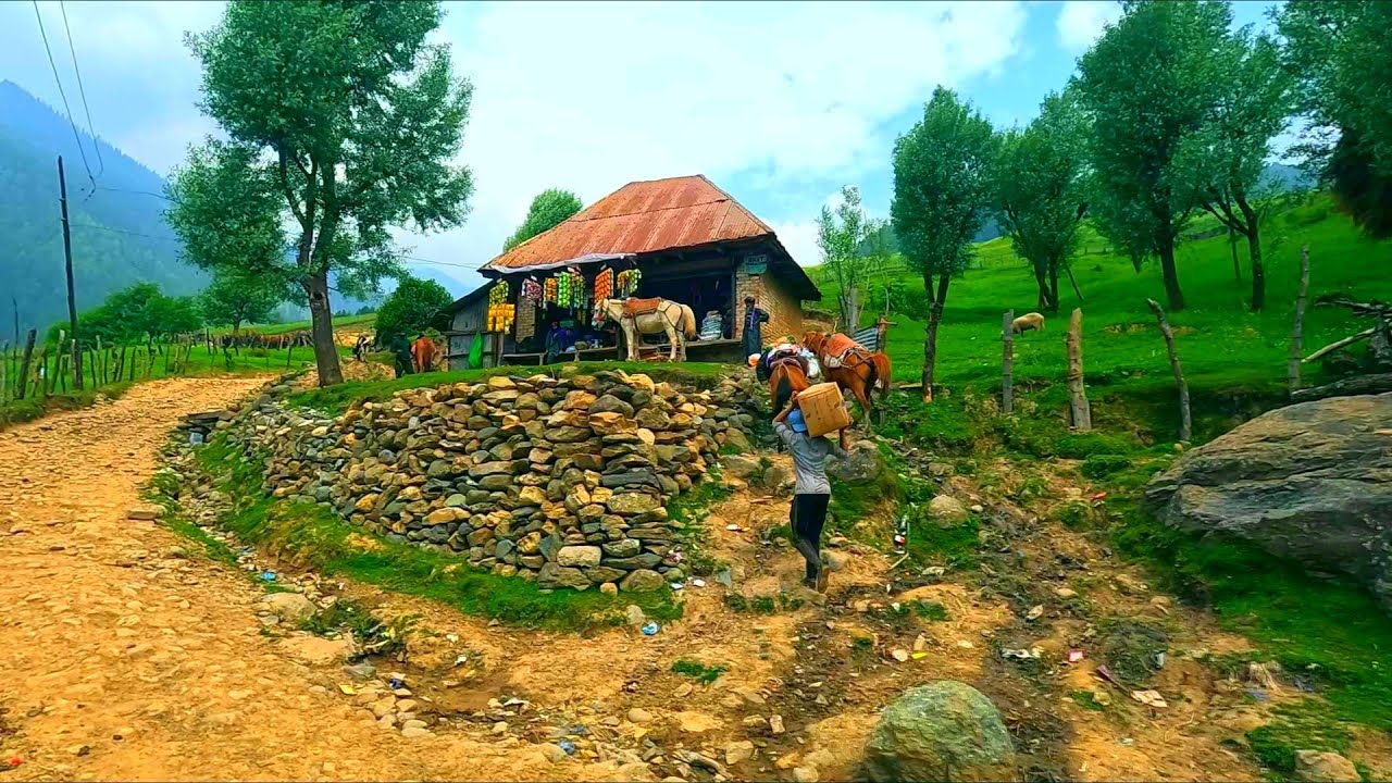 Indian countryside walk | Aru valley to Lidderwat way : A scenic trek ...