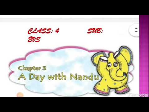 Class 4 EVS A day with Nandu, children in groups, elephant in chains ...