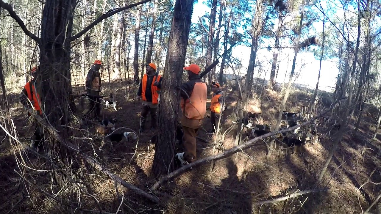 Squirrel Catch!!! - YouTube