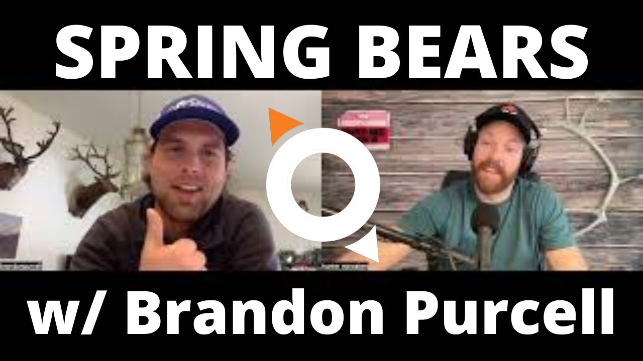SPRING BEARS w/ BRANDON PURCELL - YouTube