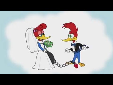 El pájaro loco en Español Latino 《 Cupido en acción 》 - YouTube