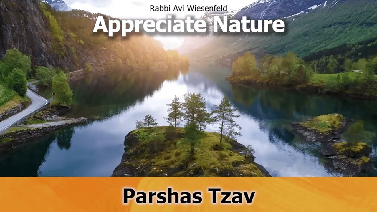 Rabbi Avi Wiesenfeld - Parshas Tzav - Appreciate nature - YouTube