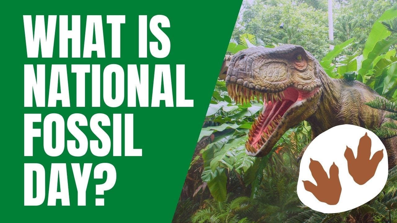 What is National Fossil Day? - YouTube