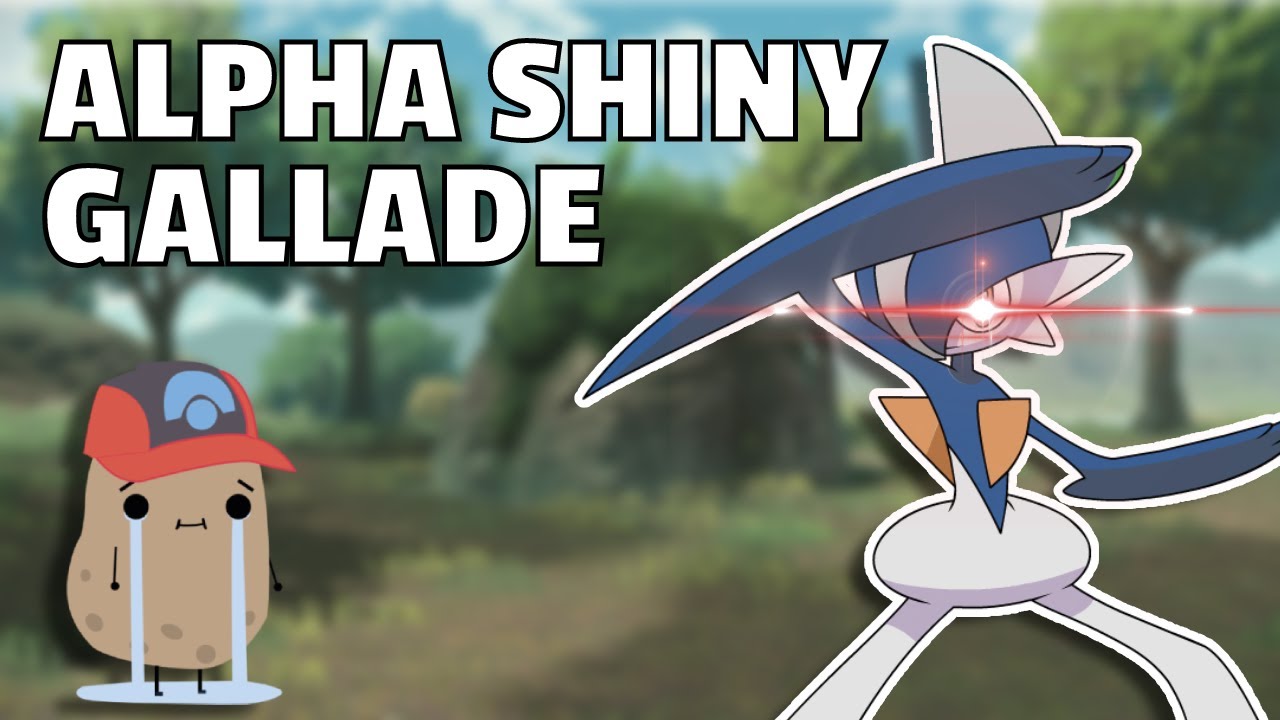 I FOUND A SHINY ALPHA GALLADE - YouTube