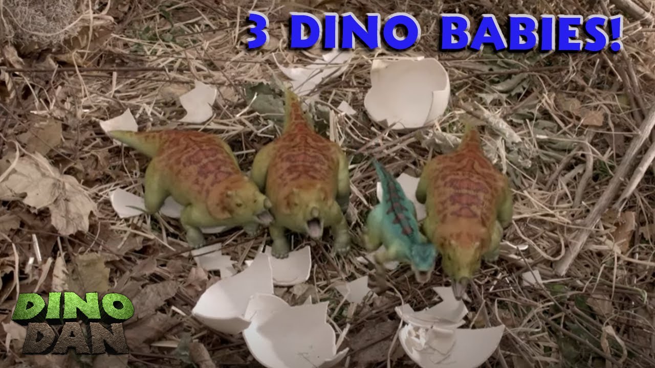 Three Dino Baby Eggs? | Best of Dino Dan Trek's Adventures - YouTube
