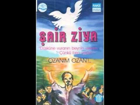 ZIYA ÖZBAY   DERTLi PINAR