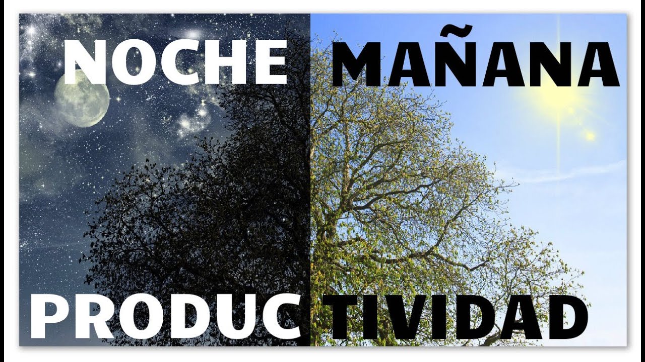 🌞🔧🌚 Productividad - ¿Por la mañana, tarde o noche? ¿Cuándo Trabajar ...