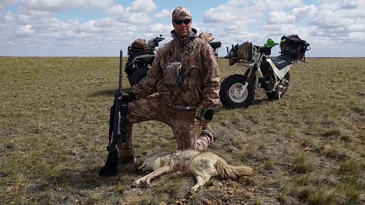 Ambush Mountain Fur Chasers - YouTube