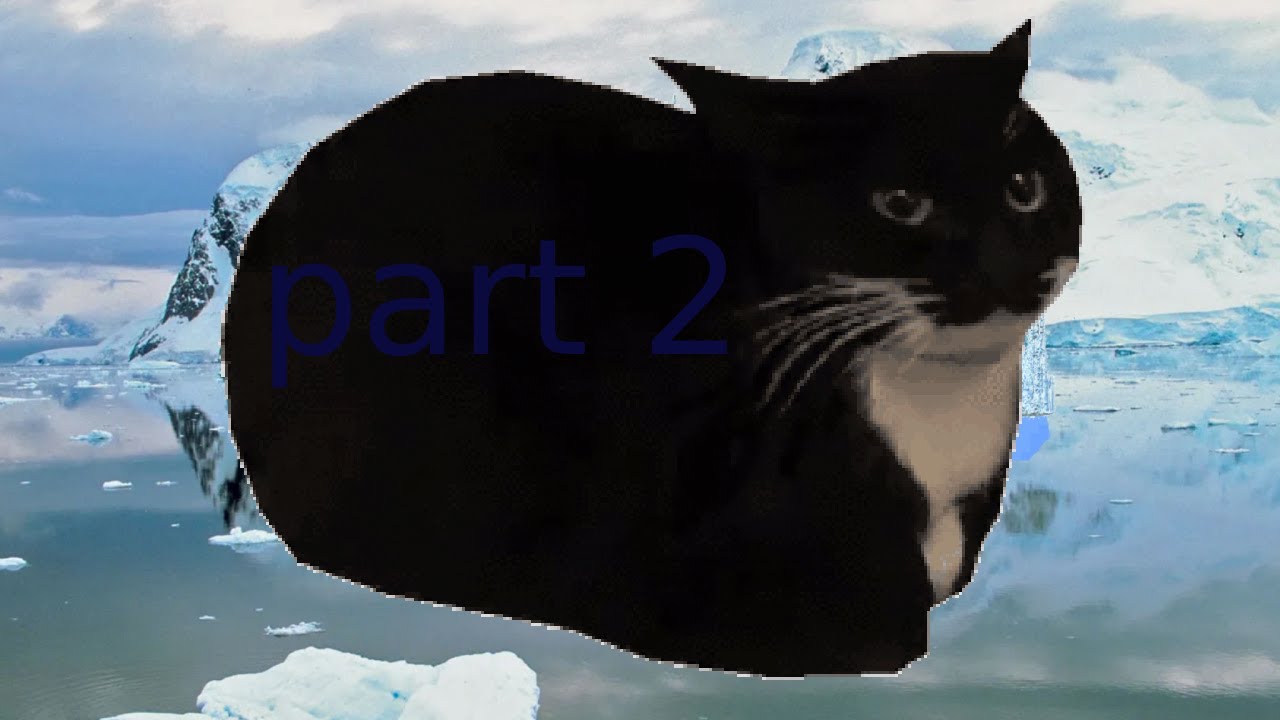 maxwell the cat theme pt 2 - YouTube