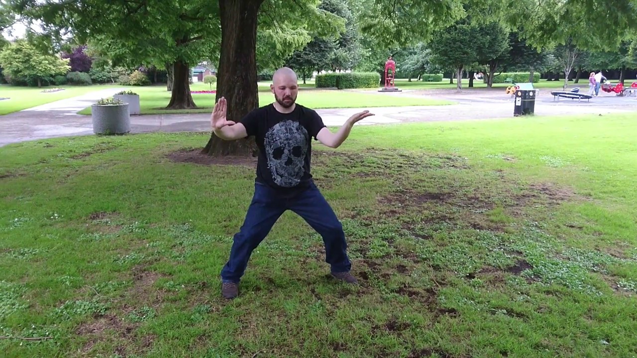 Mixed Silat Lanka (footwork, waist and turning) - YouTube