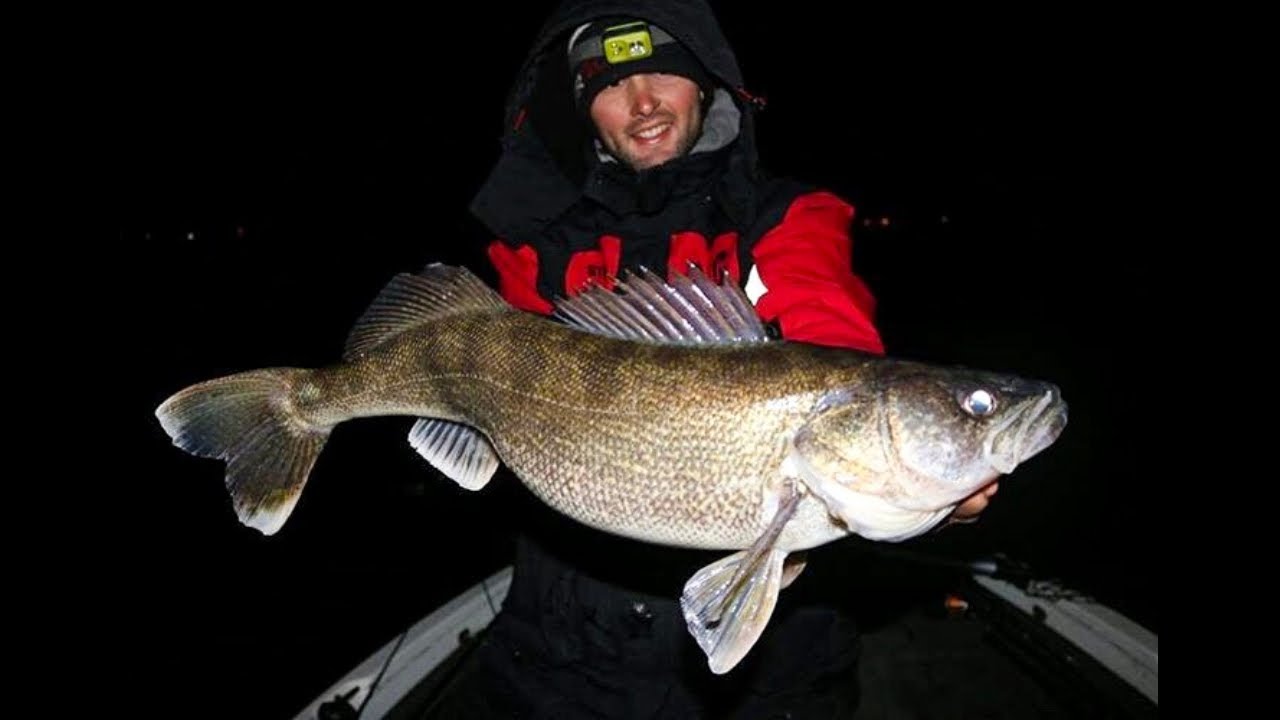 Catching GIANT Spring Walleyes! (Pre-Spawn Walleye Fishing) - YouTube