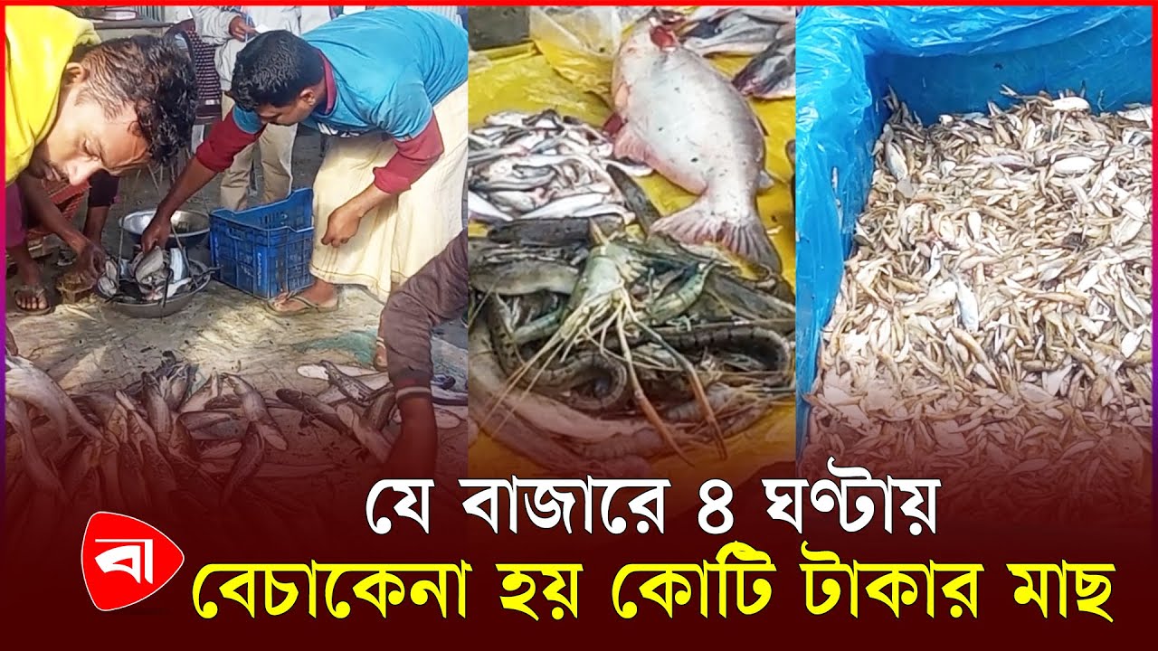কিশোরগঞ্জের যে বাজারে ৪ ঘণ্টায় বেচাকেনা হয় কোটি টাকার মাছ ...
