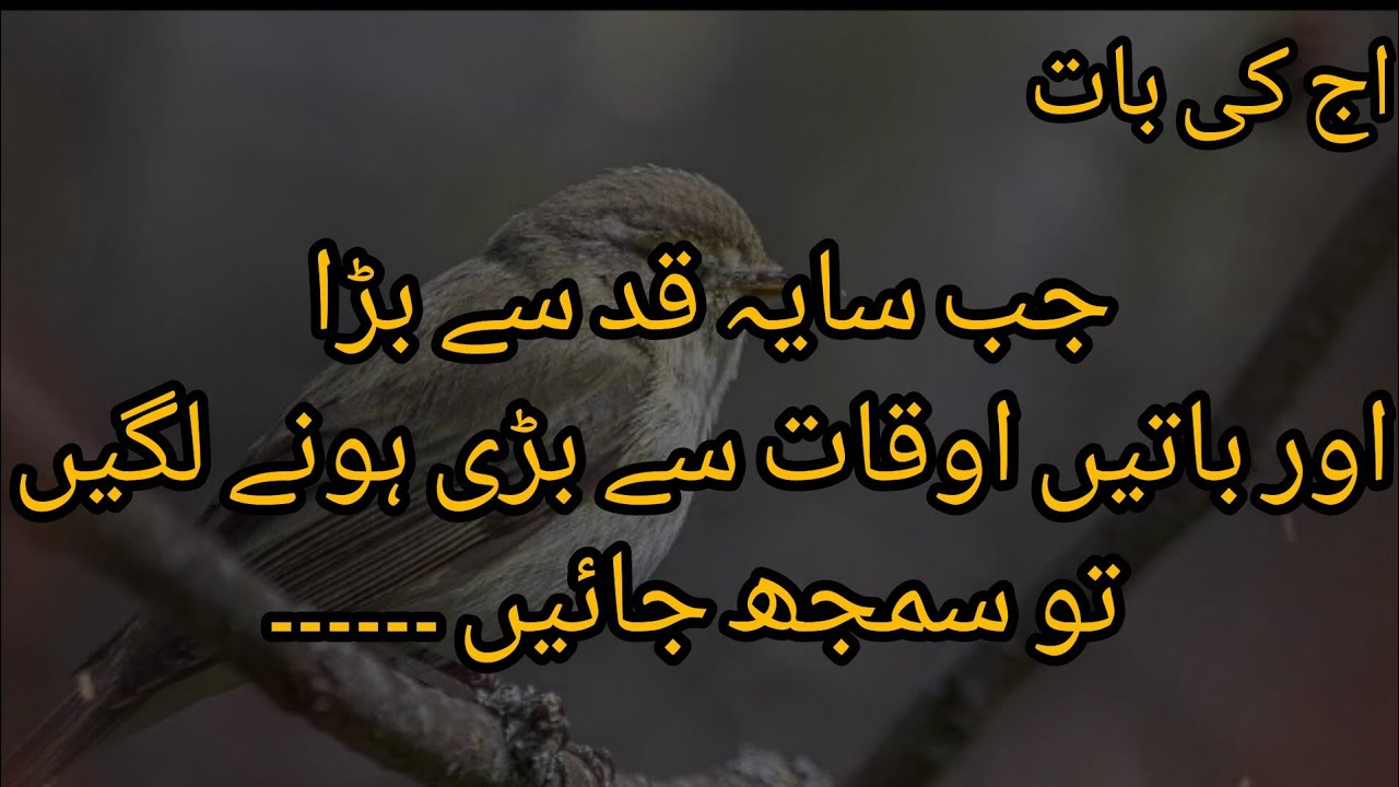 Islamic motivational quotes | achi baten | quotes of the day | Urdu ...