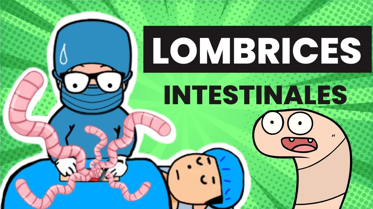 Ascaris Lumbricoides: La Lombriz Intestinal que Puede Vivir Dentro de ...