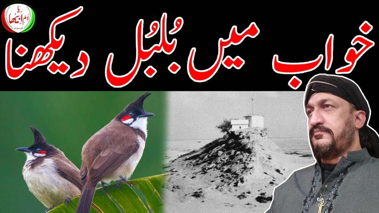 Khwab M Bulbul | Meyna | Bird Dream | Sapna | Parinda | Nazar | Ufo ...
