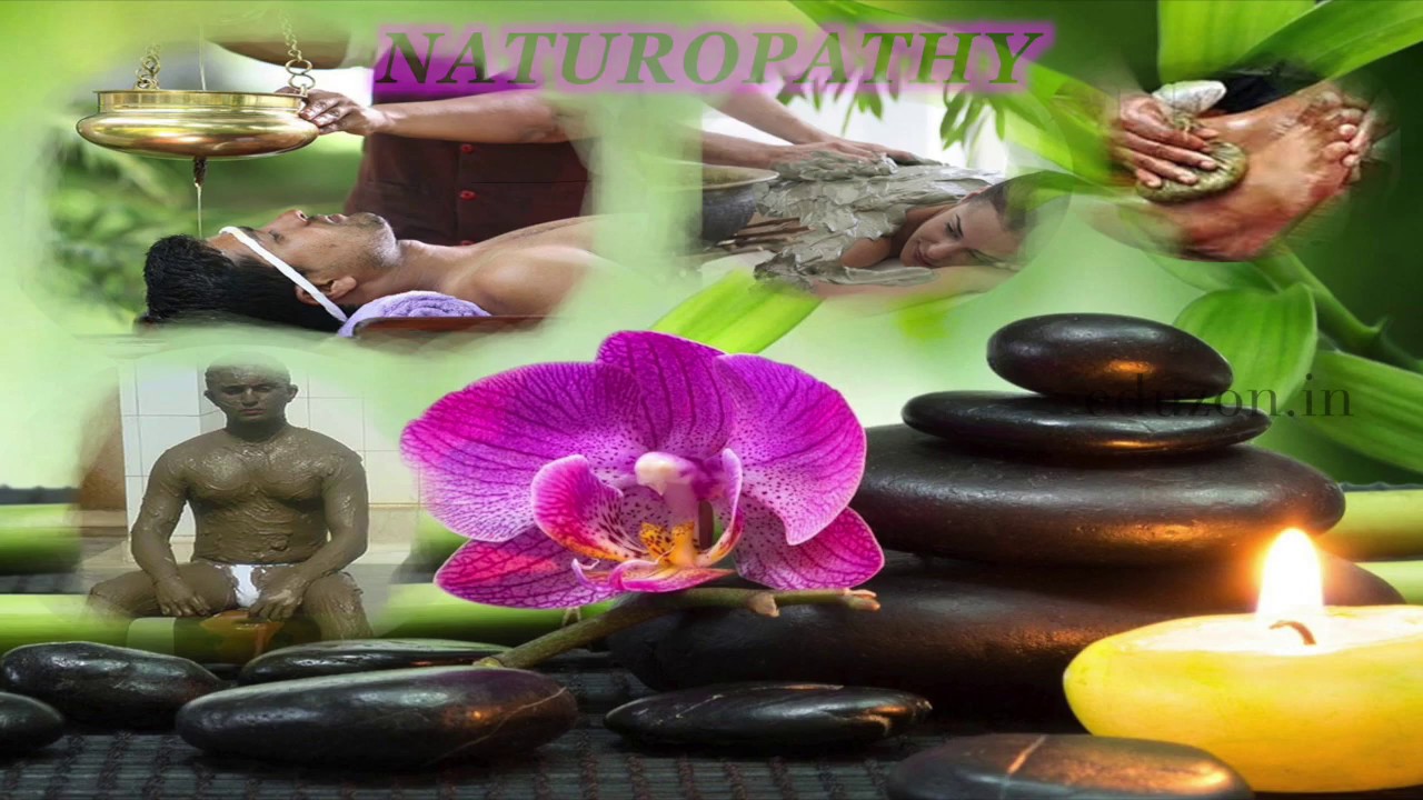 NATUROPATHY- Courses-Eligibility-Institutes and Universities - YouTube
