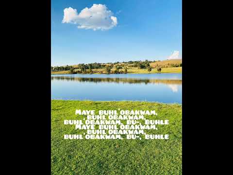 Sjava_Dudlu Lyrics Isizulu - YouTube