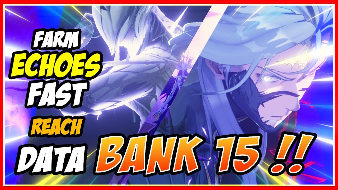 Level UP your Data Bank FAST ! Echo System Tutorial - Wuthering Waves ...