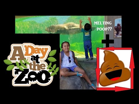 🌴 ZOO WITH A WATER PARK!!💩MELTING POOP💩 SEA LIONS PENGUINS BEARS FLAMINGOS