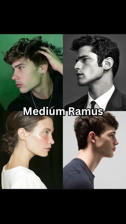 Ramus Lengths. Long, medium and short Ramus #looksmax #lookism #looksmaxing #looks #beauty #hair ...