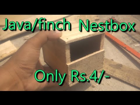 how to make nestbox for java and finch bird ,only rs.4 - YouTube