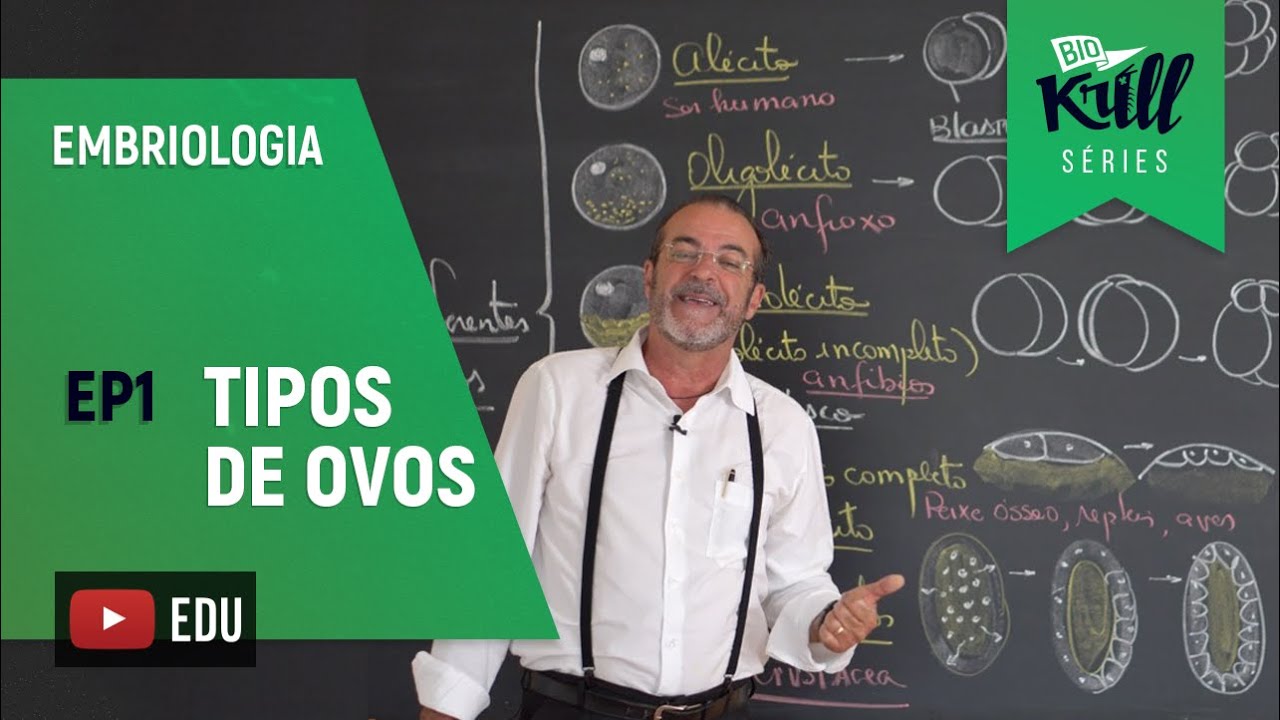 Tipos de ovos (Embriologia - EP 1) | Biokrill Series - YouTube