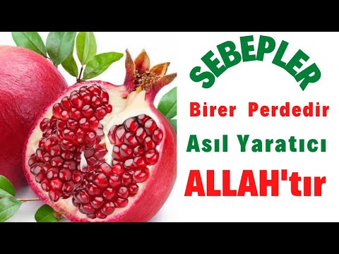 Asıl Yaratıcı ALLAH'tır , görünen sebepler birer perdedir /Azad Eşiyok