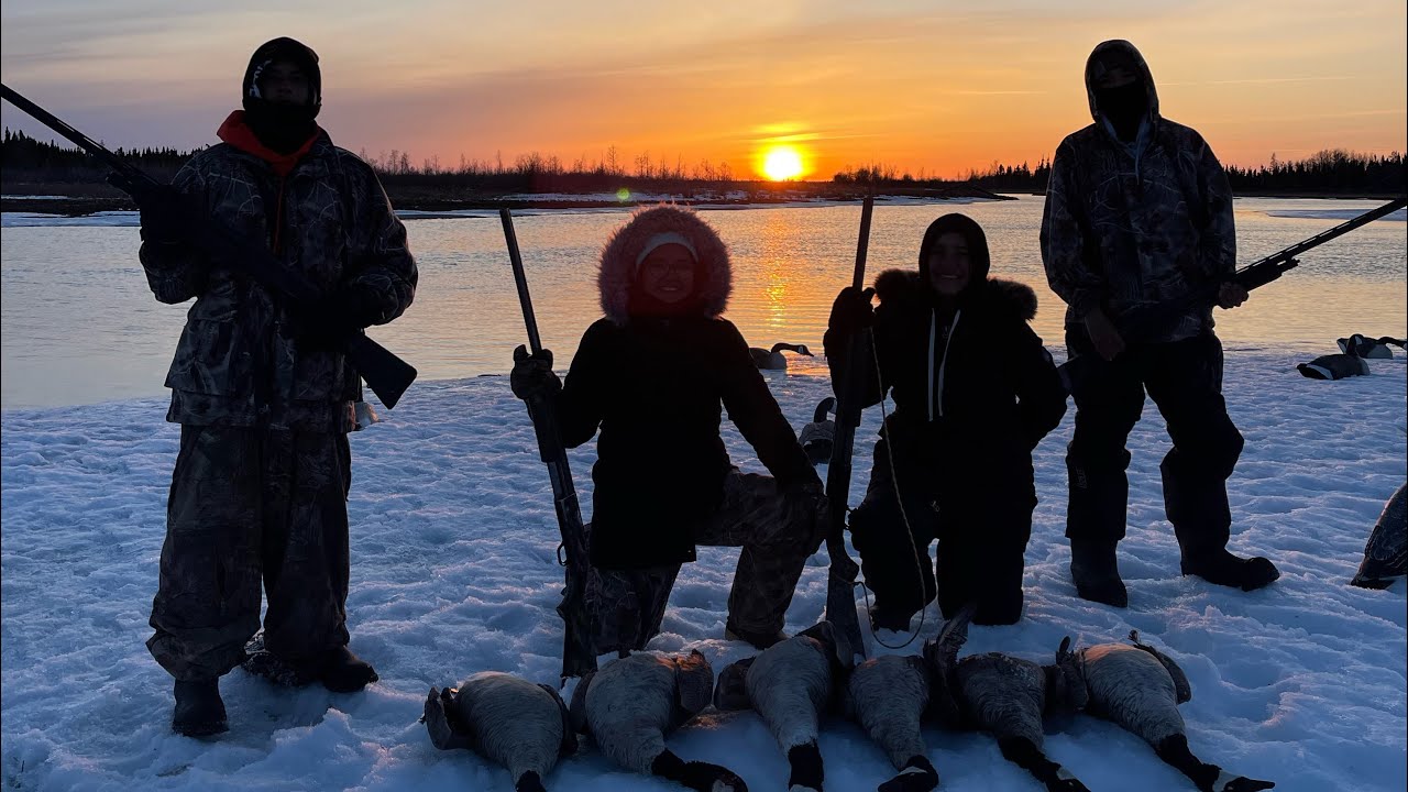 So many guns, early spring hunt! Niska (Canada geese coming in) - YouTube
