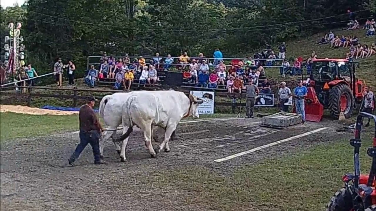 The Cornish Fair - A Great Small Country Fair - - YouTube