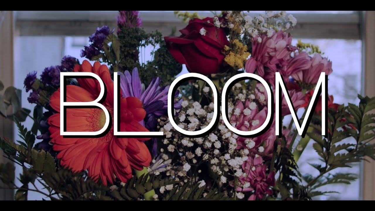 Bloom | One Minute Short Film (2021) - YouTube