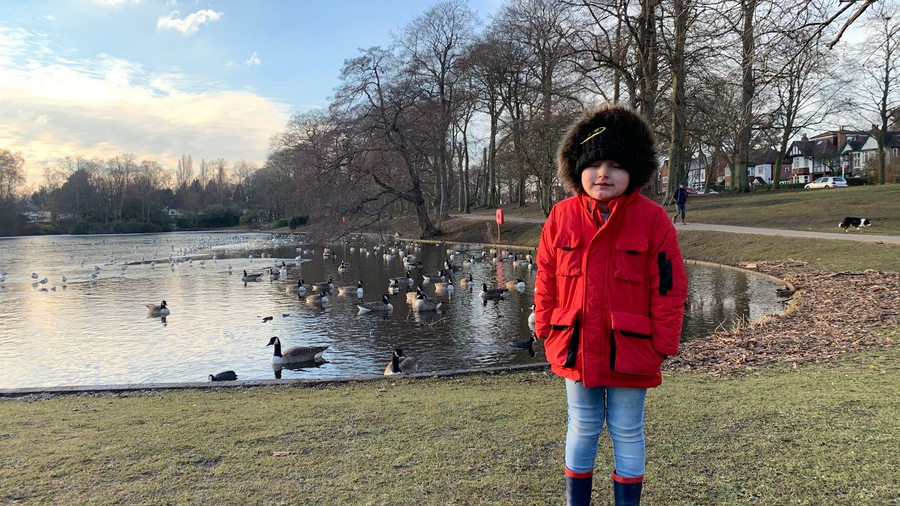Swanshurst Park - Moseley , Birmingham | frozen pond #swanshurst # ...