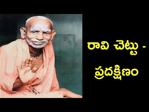 Raavi Chettu - Kanchi Paramacharya - YouTube