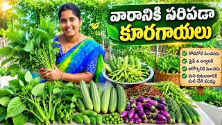 Harvest |Organic Vegetables Harvest In Terrace Garden @homemakerstrategy 