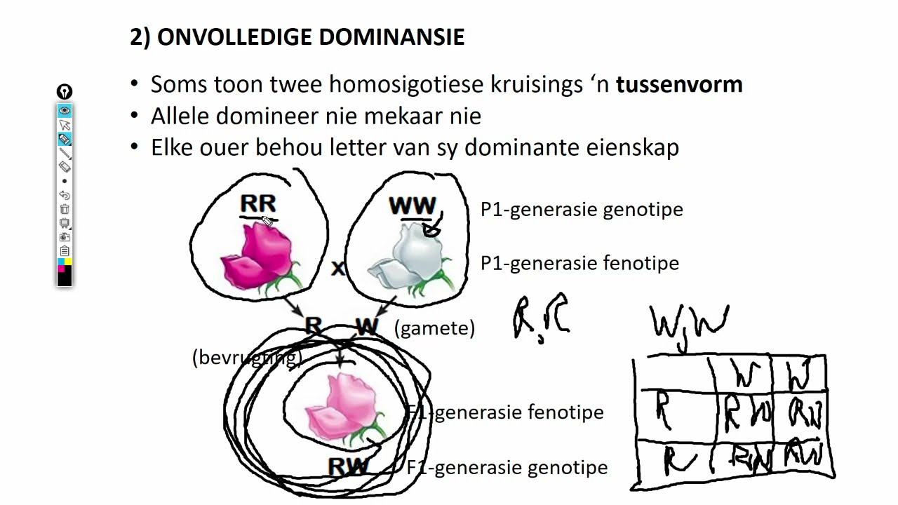 Lewenswetenskappe GR12 Genetika Les4 Monohibriede kruisings - YouTube