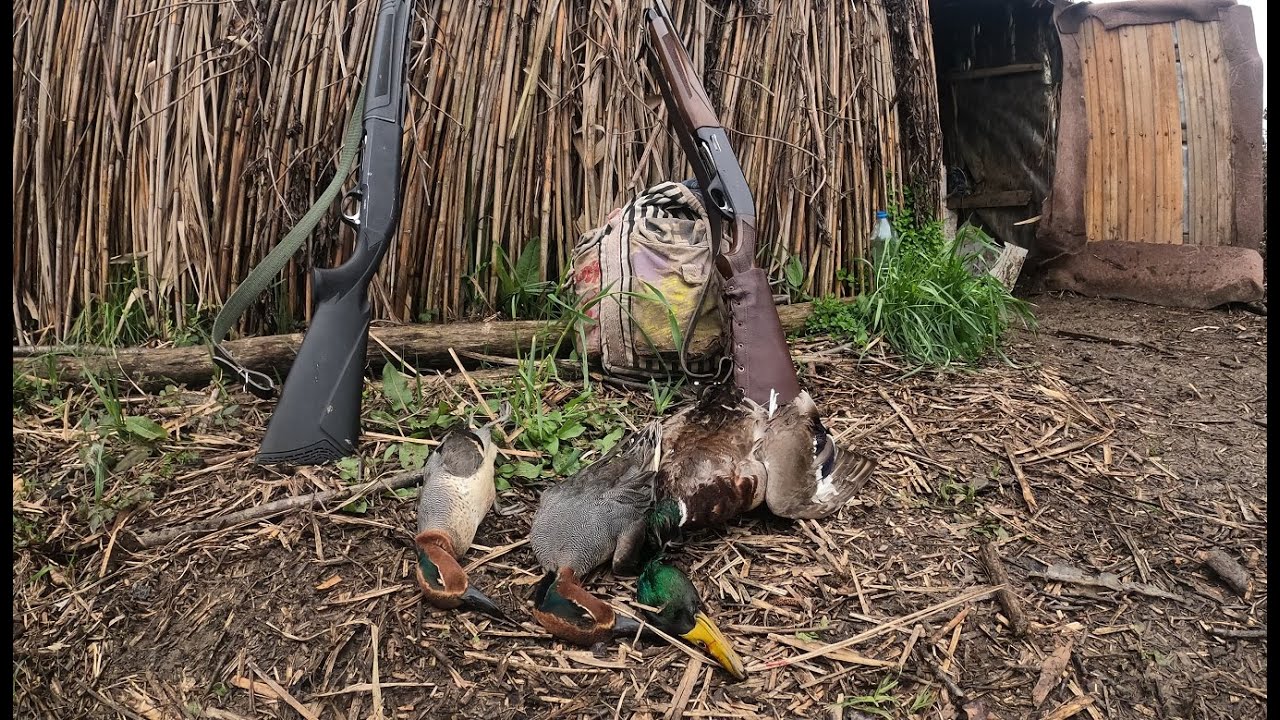 Duck hunting compilation - Hunting in Iran - YouTube