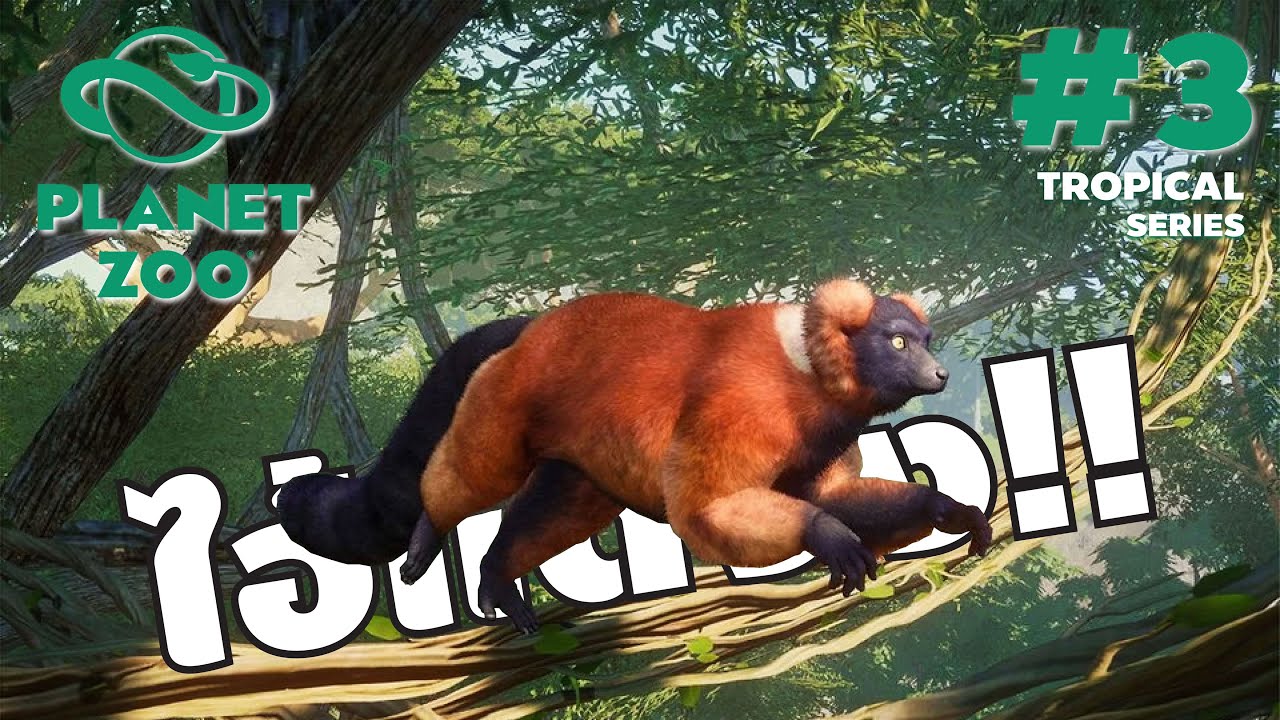 เรด แพนด้า ไม่ได้อะ เรด ลีเมอร์ ได้แทนเลย | Planet Zoo - EP.3 - YouTube
