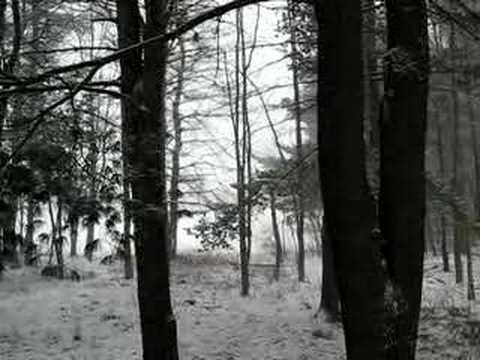 snow falling on cedars - YouTube
