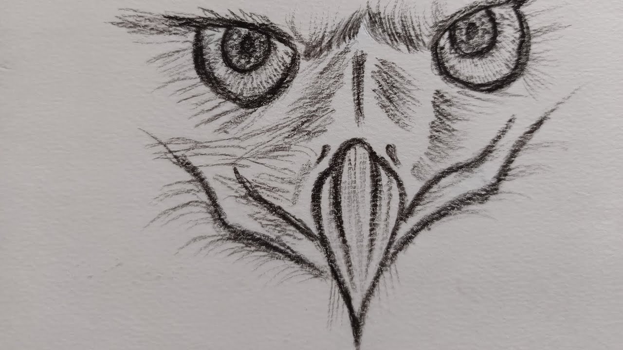 How To Draw a Pencil Sketch Shading Of Eagle Drawing Long Video - YouTube