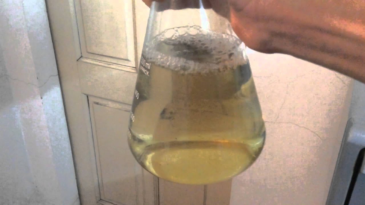 Blue bottle extended experiment - YouTube