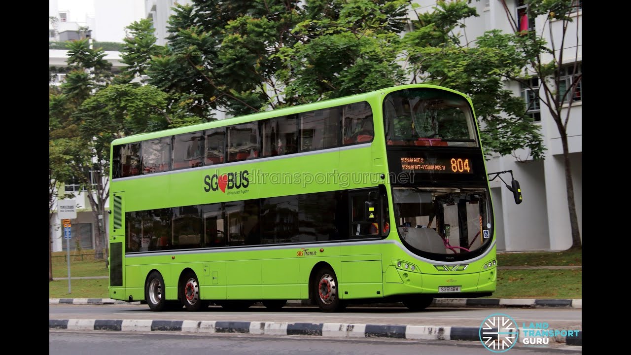 SBS Transit Bus Service 804 (Full Trip) - YouTube