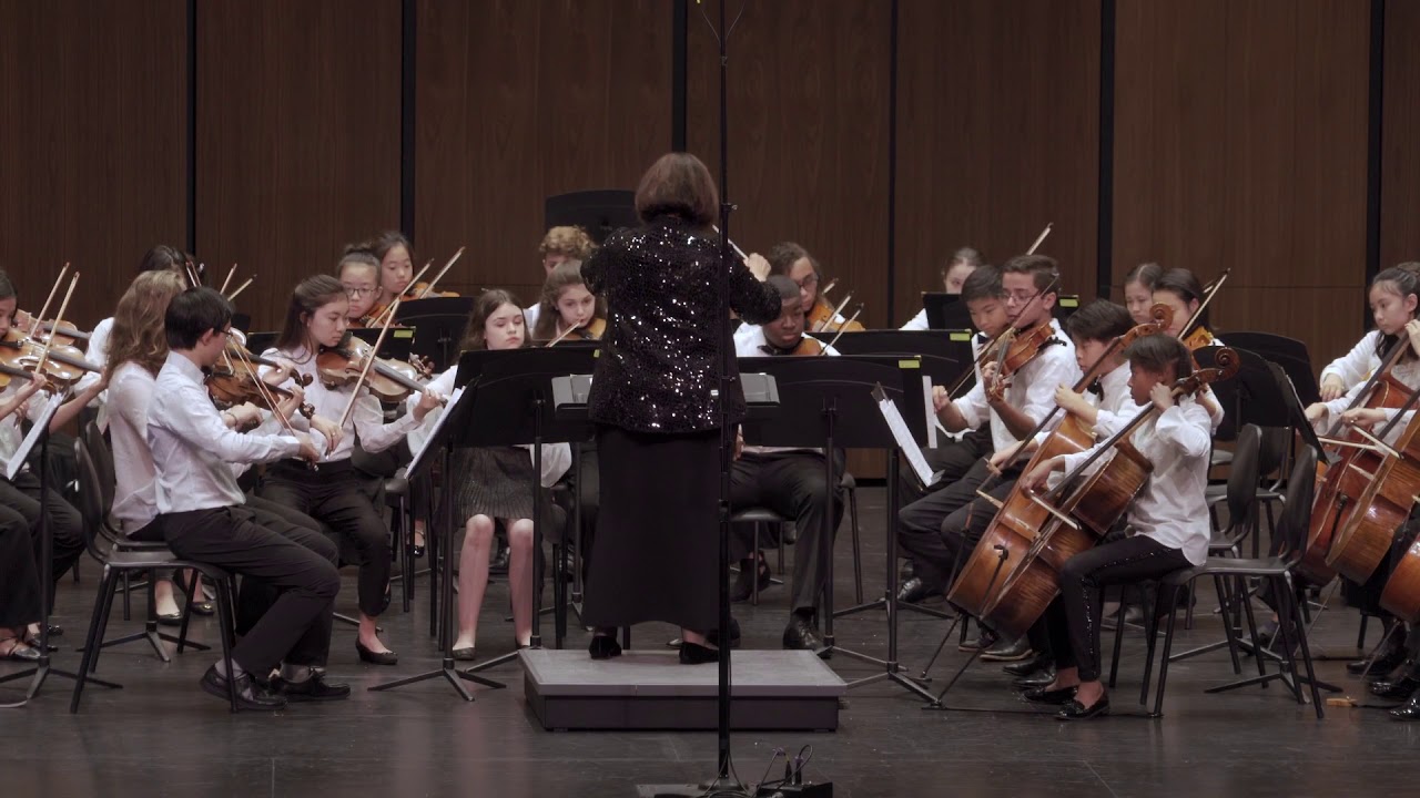 Symphony in A for String Orchestra, Johann Friedrich Fasch - YouTube