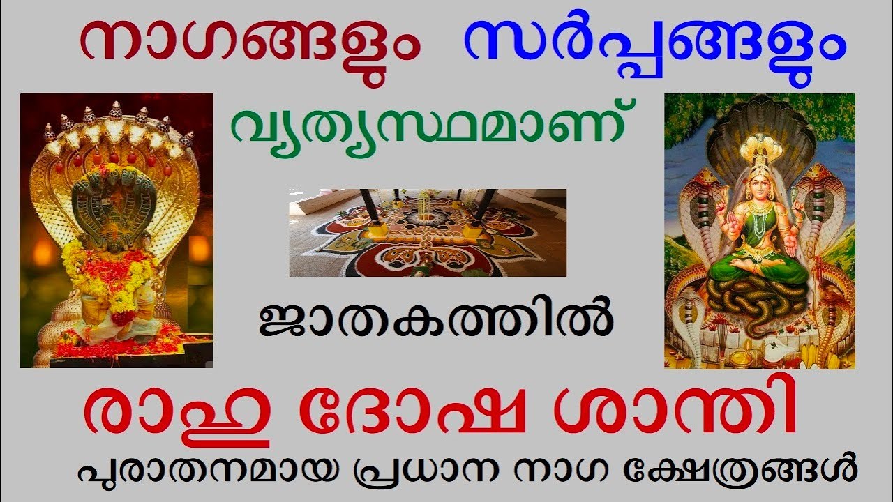 Nagaradhana video - YouTube