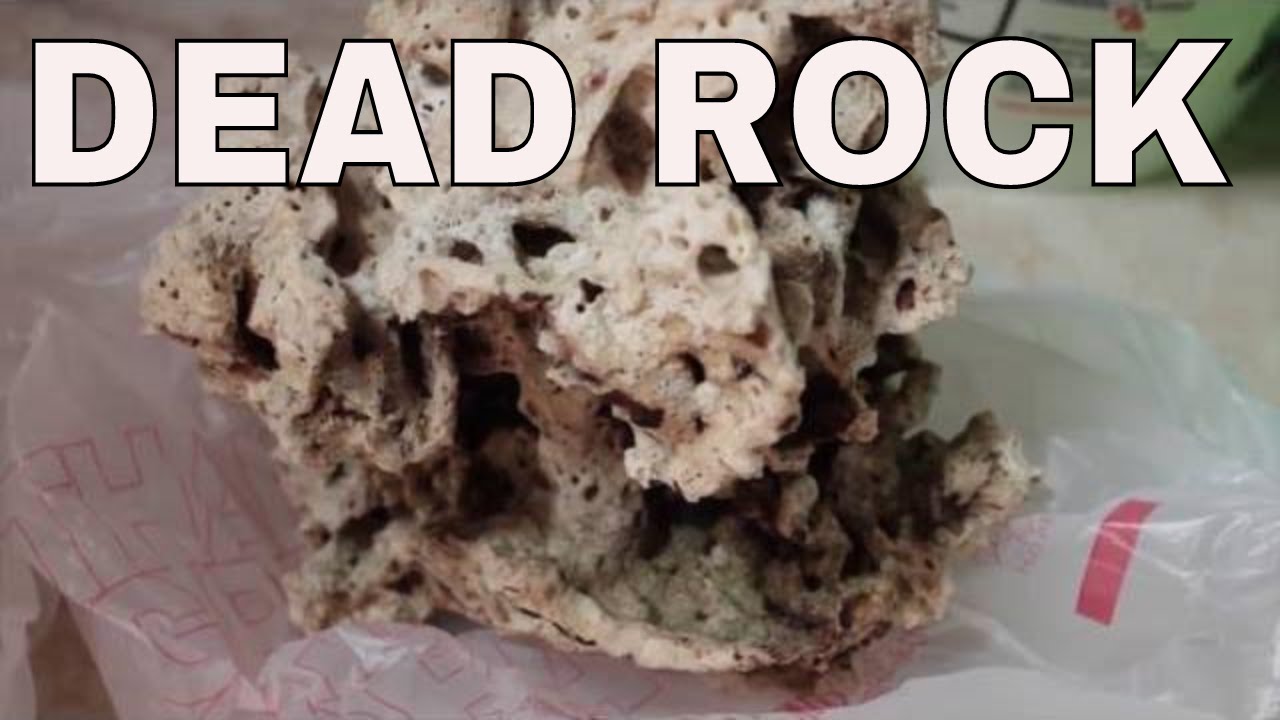 live rock or dead rock in saltwater aquarium - YouTube