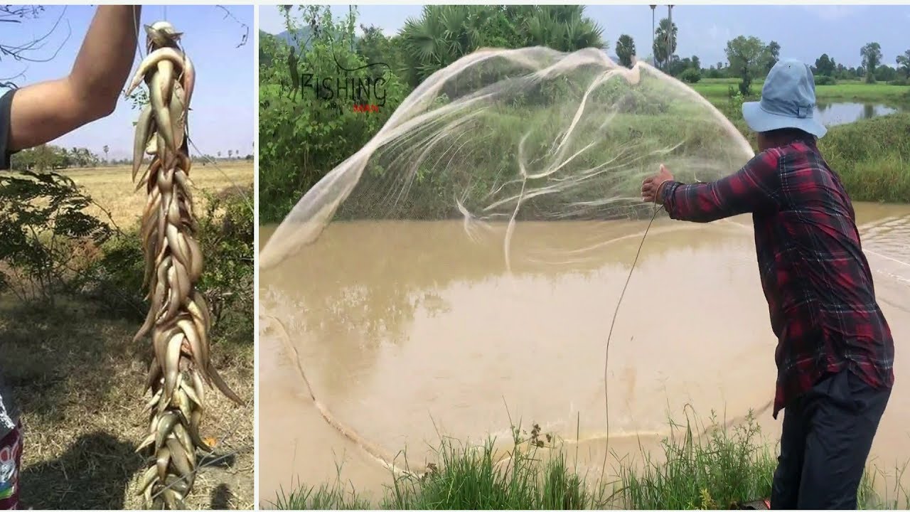 Fishing INCREDIBLY Long Hours From Dawn to Dusk Capture a lot of fish ...