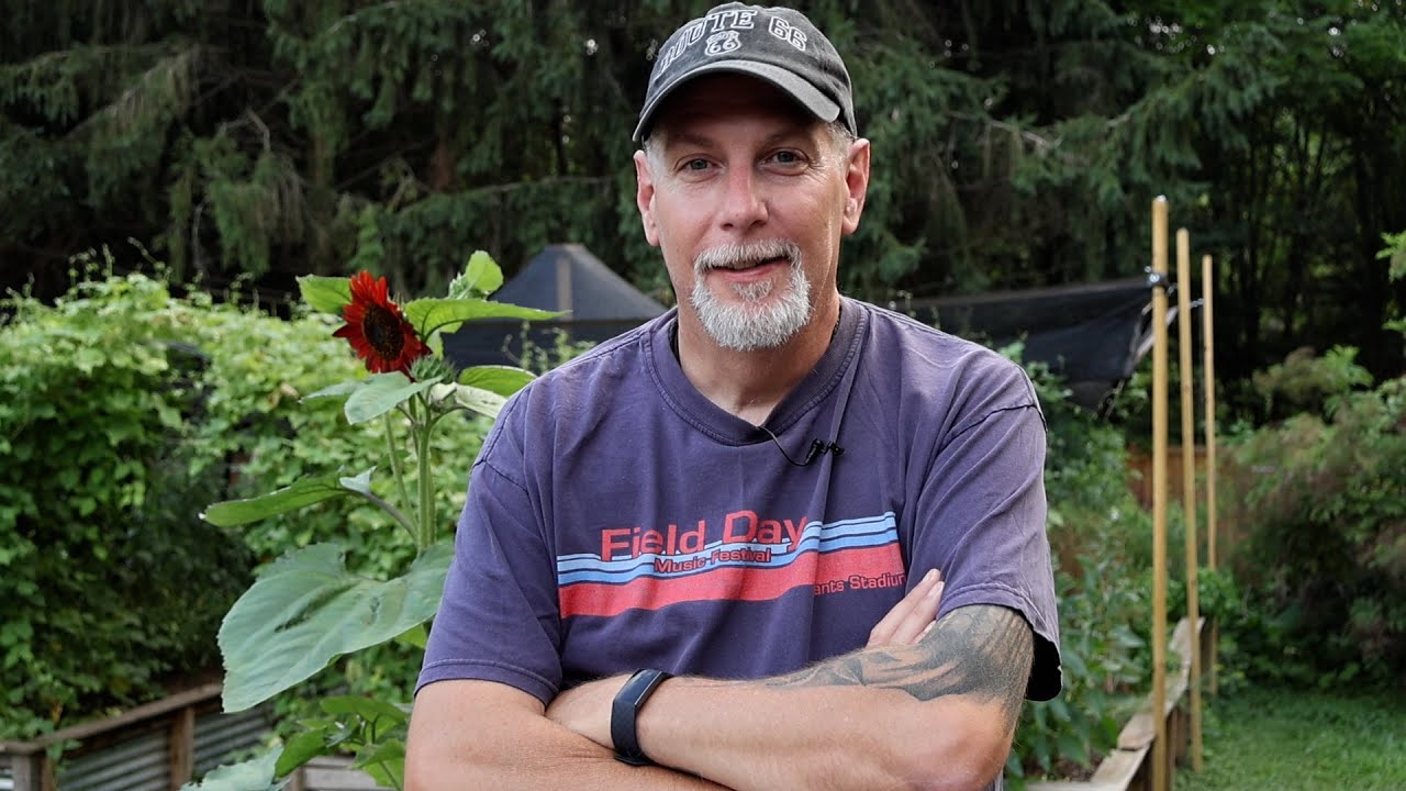 Garden Tour, Hot Weather and Feral Cats - YouTube