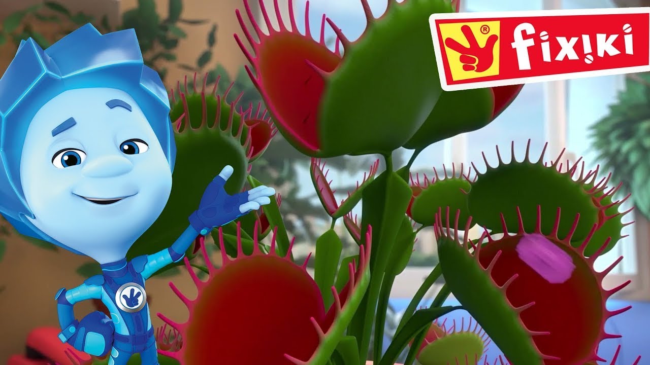 Desene cu Fixiki– Planta carnivoră - Desene animate educative pentru ...